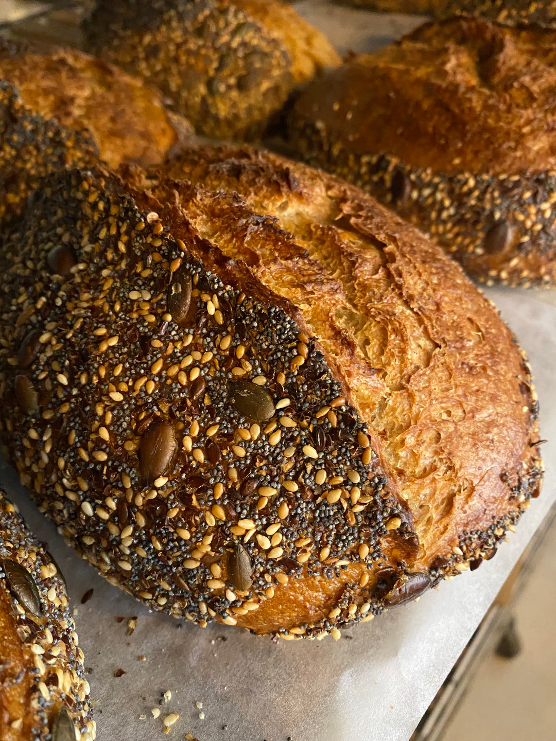 Seeded rye bread | Levain et le vin